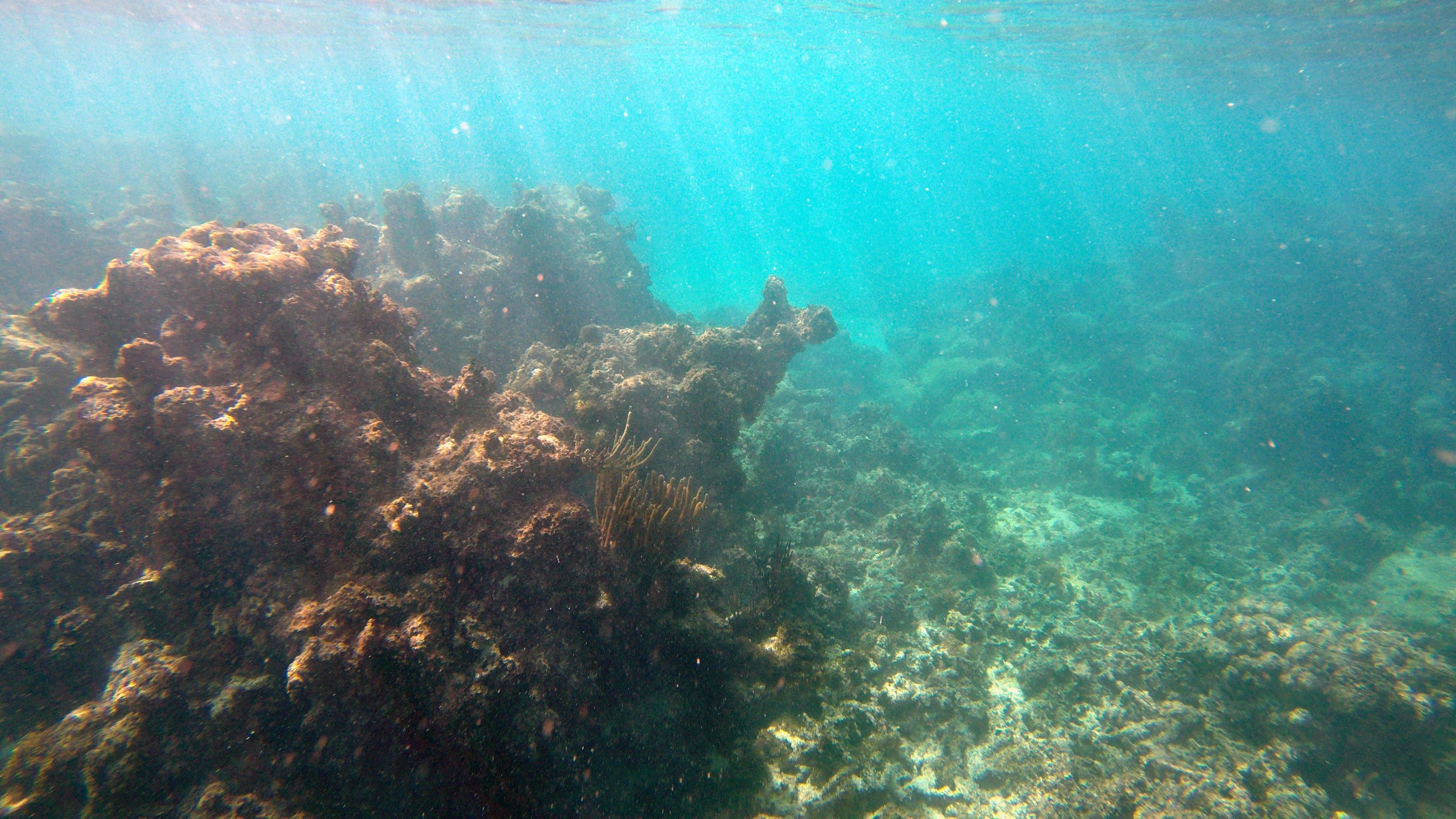 Scuba Diver Certification in Puerto Rico | Aqua Adventure