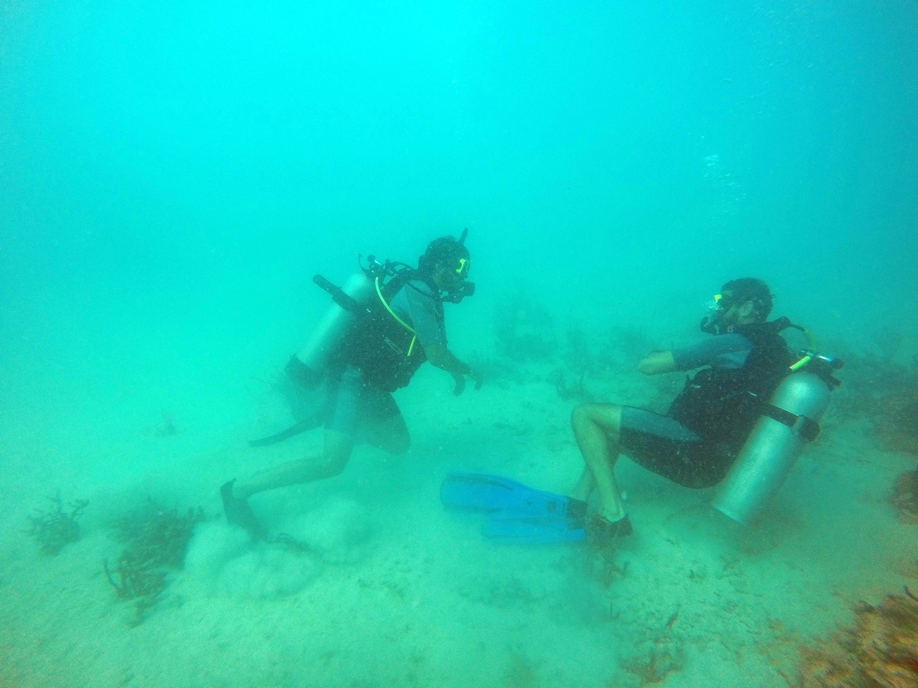 PADI Drift Diver Certification Course | Aqua Adventure